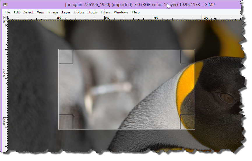 Using GIMP To Change The Aspect Ratio Of A Photo Lingopolo